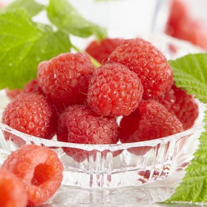 Buy Raspberry Malling Promise affordable | Gardens4You.eu